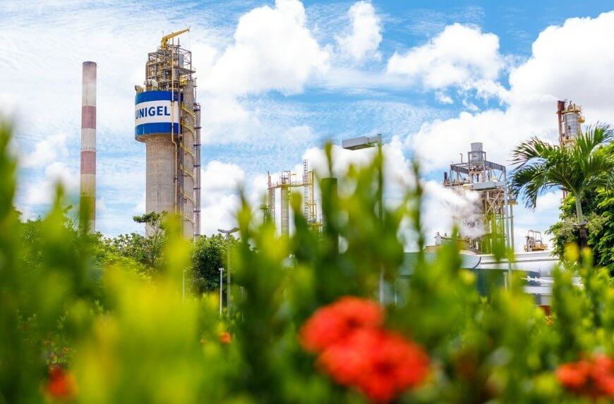 Unigel paralisa atividades das fábricas de fertilizantes da Bahia e de ...