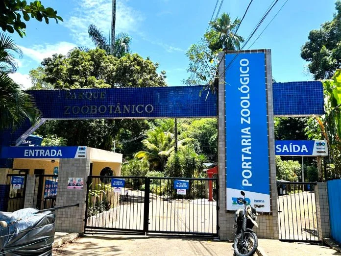 Zoo tem entrada exclusiva pelo Alto de Ondina durante reforma - BA de Valor